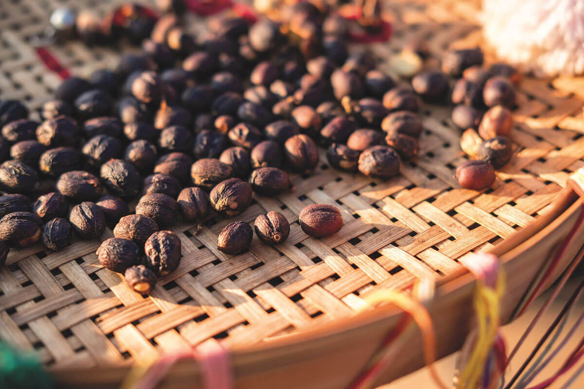 Die Wunderwelt des Cascara – Tee aus Kaffeekirschen - Kaffeelust